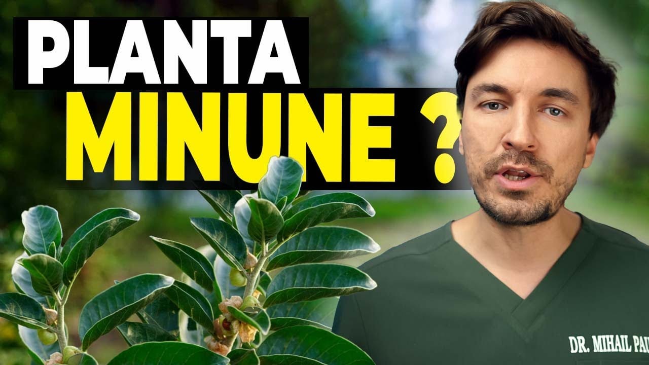 ASHWAGANDHA - ce este și cum se ia? - Dr. Mihail